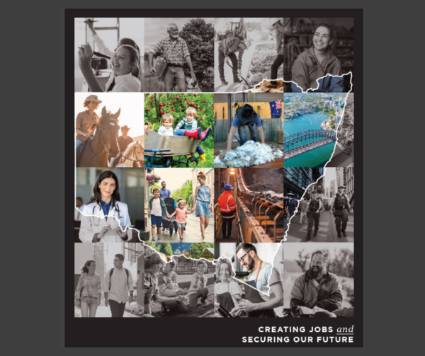 NSW Budget 2020/2021 – YBM